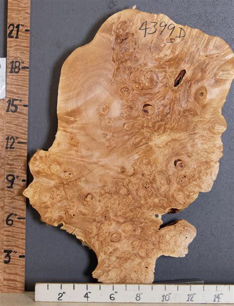 5a Burl Maple Nwt 4399d