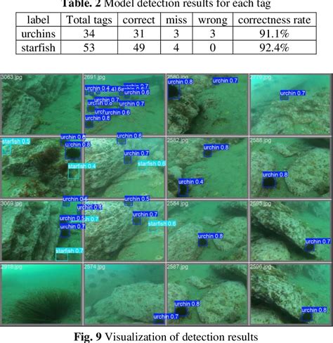 Figure 9 From A Lightweight Sea Urchin Detection Algorithm Based On Improved Yolov8 Semantic