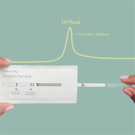 Ovulation Prediction Test Frida The Fuss Stops Here