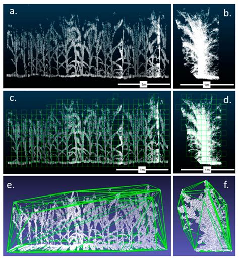 🌿🌳 Fast Nondestructive And Precise Biomass Measurements Are Possible Using Lidar Based