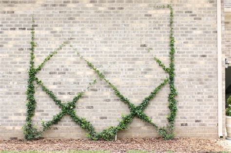 Step By Step Guide To Building A Garden Trellis Artofit