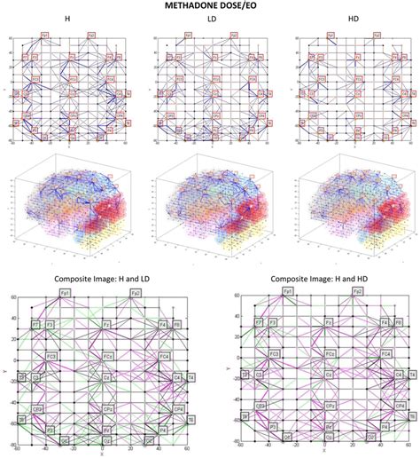 F The Snnc Connectivity After Training It With Eeg Data Corresponding