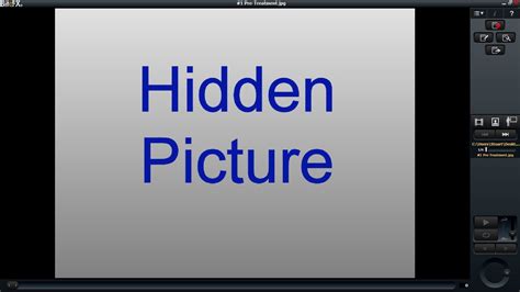 how to use the hide unhide image controls in bitefx for windows