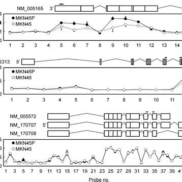 Exon Array Analyses For ALDOC PDIA And LMNA Exon Structures And Download Scientific Diagram