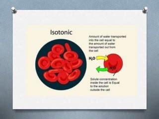 Diffusion Osmosis PPTX