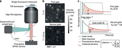 Spad Camera Characterizes Large Samples Of Molecules At Same Time Research And Technology Aug