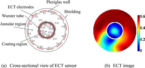 12 4 8 Electrode Ect Sensor And Reconstructed Image Download