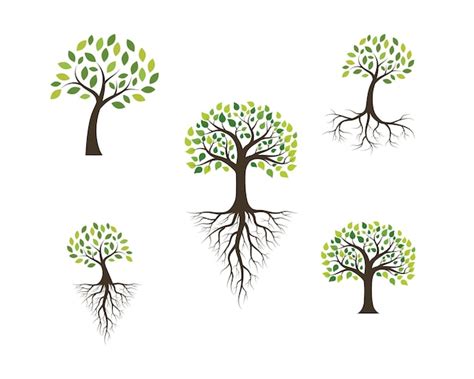 Premium Vector Tree Icon Logo Template Vector