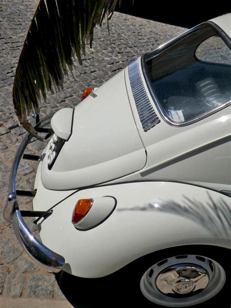 무료 이미지 바퀴 빈티지 자동차 범퍼 육상 차량 폭스 바겐 딱정벌레 자동차 제조 자동차 외장 자동차 디자인 고급 차량 이그제큐티브 카 중형차