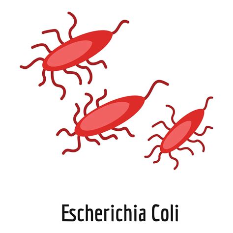 Escherichia Coli Icon Cartoon Style 14388990 Vector Art At Vecteezy