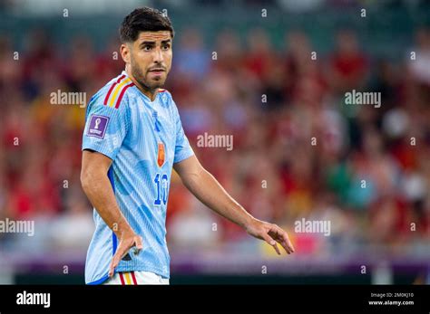 Marco Asensio Of Spain During The Fifa World Cup Qatar 2022 Round Of 16