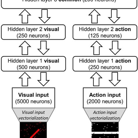 top the neural network architecture included a visible layer and three