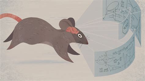 The Brain Uses Calculus To Control Fast Movements Sur Lab