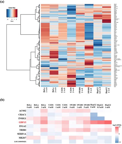 Transcriptome Expression Analysis Of Lidocaine Treated Cancer Cell