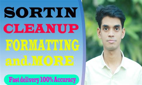 do data formatting sorting cleanup and more by mdmehedi300 fiverr
