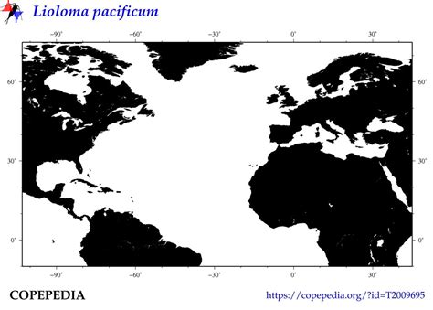 Copepedia Summary For Lioloma Pacificum T2009695 Species
