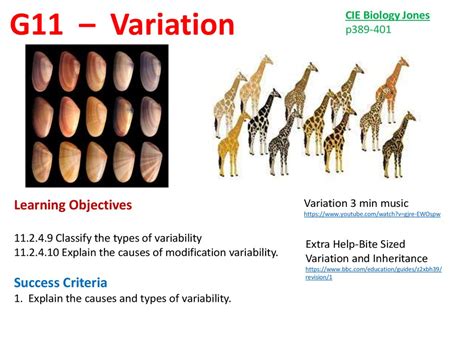 Variation Science