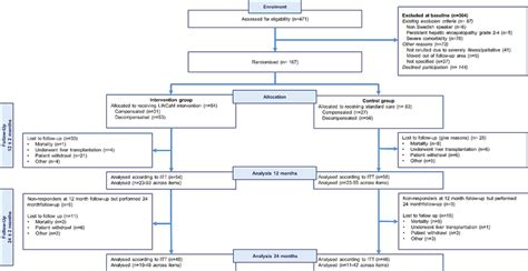 Enrolment Process And Allocation Flow Chart Download Scientific Diagram