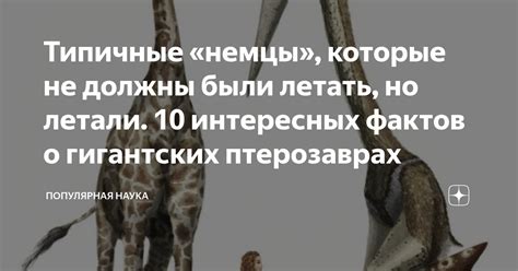 Типичные «немцы которые не должны были летать но летали 10 интересных фактов о гигантских