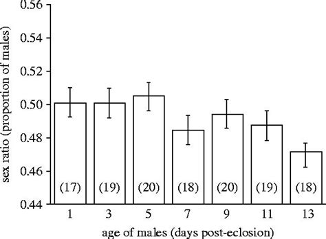 Do Female Drosophila Melanogaster Adaptively Bias Offspring Sex Ratios