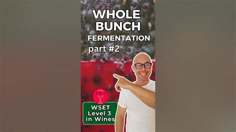 Whole Bunch Fermentation Part 2 I Wset Level 3 In Wines Youtube