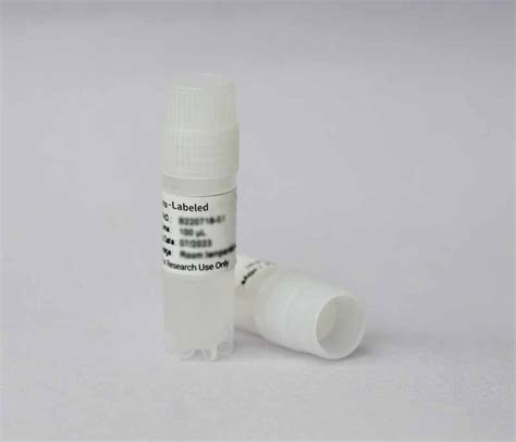 Hek293 Copgfp Vitro Biotech