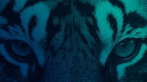 The Increasing Urgency For A More Secure Microsoft 365 Backup Asigra