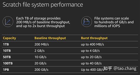 Aws Fsx For Lustre 知乎