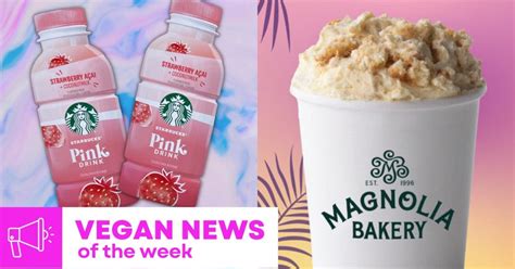 Starbucks Pink Drinks ‘sex In The City Pudding And More Vegan Food News Of The Week R Vegan