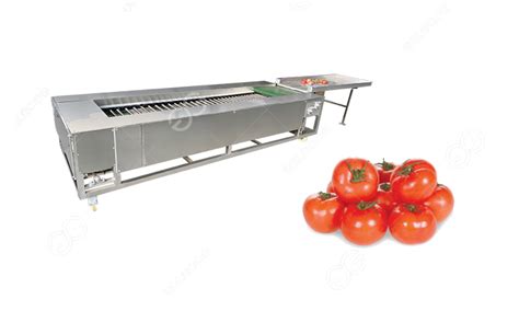 How Does A Tomato Sorting Machine Work