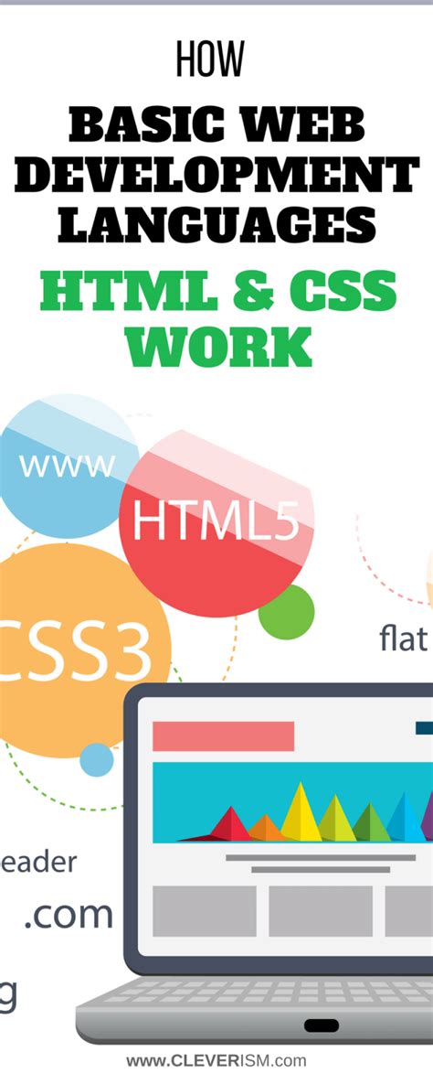 How Basic Web Development Languages HTML And CSS Work Cleverism