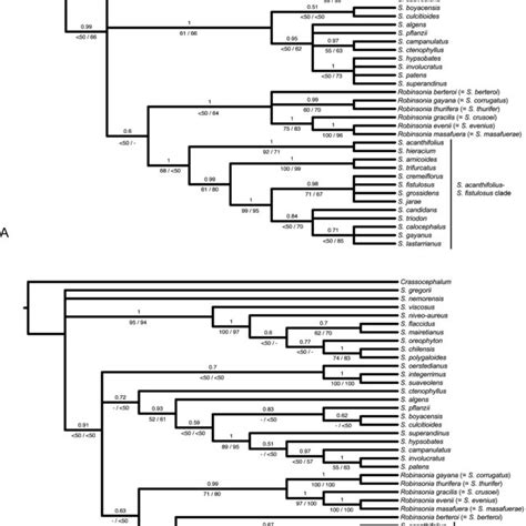 Bayesian Consensus Trees From A Plastid Dna Sequences Ndhf Gene Download Scientific Diagram
