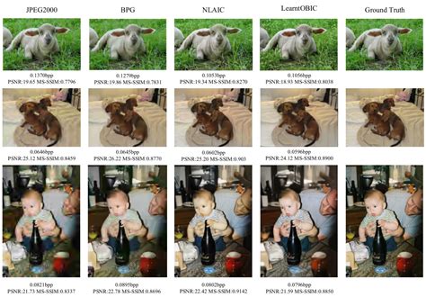 Object Based Image Coding A Learning Driven Revisit