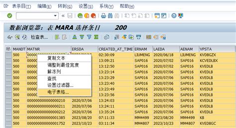 [sap abap] 数据导出 sap导出excel csdn博客