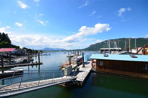 Intelligent Aging Advisory Panel Uprooting Doesnt Always Lead To A Successful Transplant