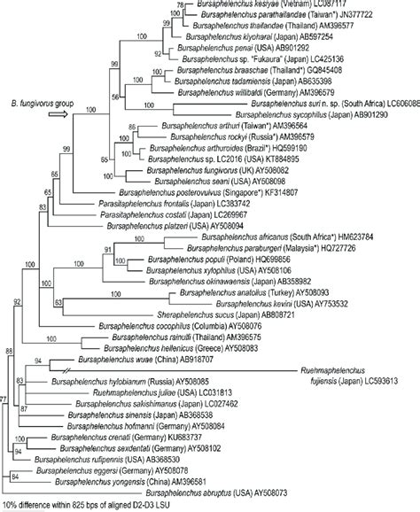 Bayesian Tree Inferred From D2 D3 Lsu Under Gtrgi Model For Model