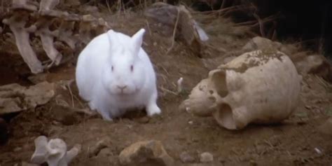 Monty Python 15 Funniest Quotes From The Holy Grail