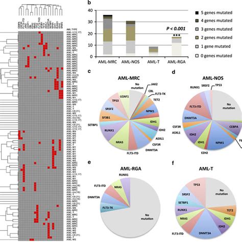 frequency of mutations in acute myeloid leukemia aml by cytogenetic