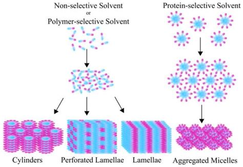 Kinetically Controlled Nanostructure Formation In Self Assembled Globular Protein Polymer
