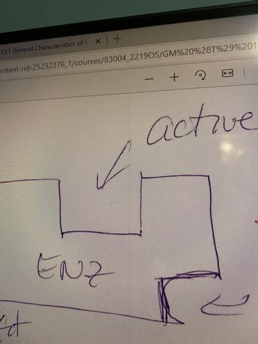 Lecture Class Flashcards Quizlet