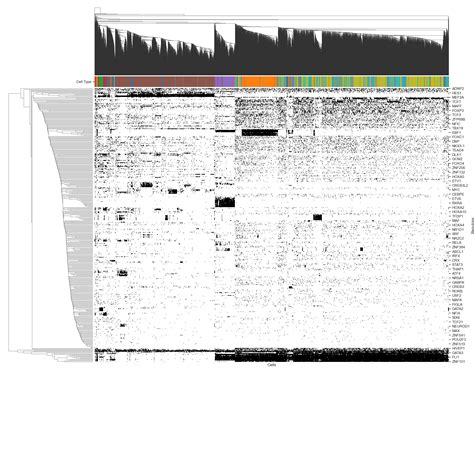 pyscenic cannot reproduce aucell tsne projection from a tutorial