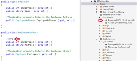 One To One Relationship In Entity Framework Core Tektutorialshub