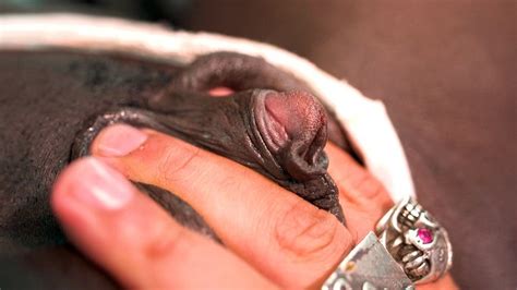 Look How I Suck Her Big Pulsating Clitoris Fetish Islands Clips4sale