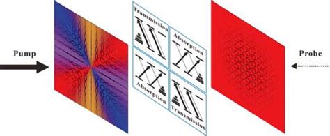 Vectorial Lightmatter Interaction Exploring Spatially Structured