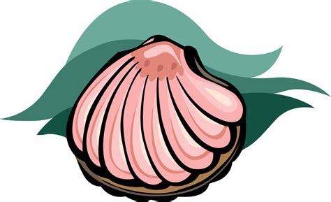 Clam Shell Vector At Getdrawings Free Download