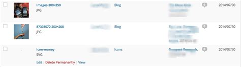 Ways To Handle SVG Rendering In Wordpress