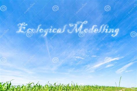 Ecological Modelling Using Computer Models To Simulate And Understand
