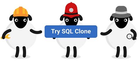 New Permissions Features Brings Access Control To Sql Clone