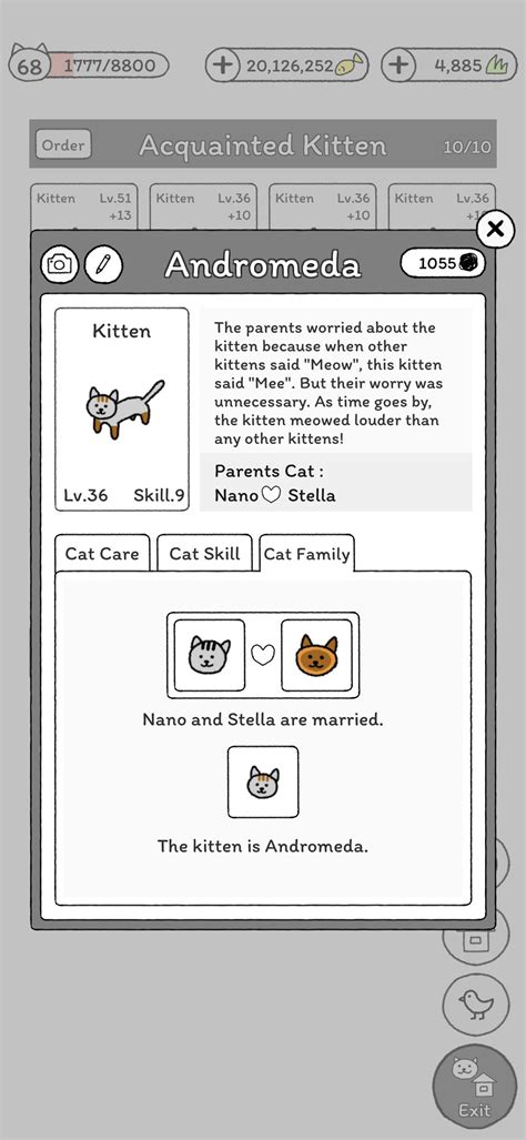 Explore The Fascinating World Of Cats Are Cute Mating And Learn More About Them