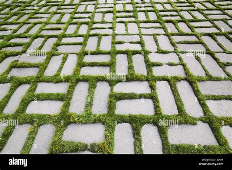 Tips And Guide On How To Lay Fake Grass On Paving Slabs